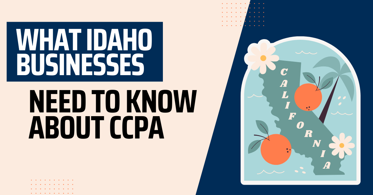 Idaho's 101 Guide to the California Consumer Privacy Act (CCPA)